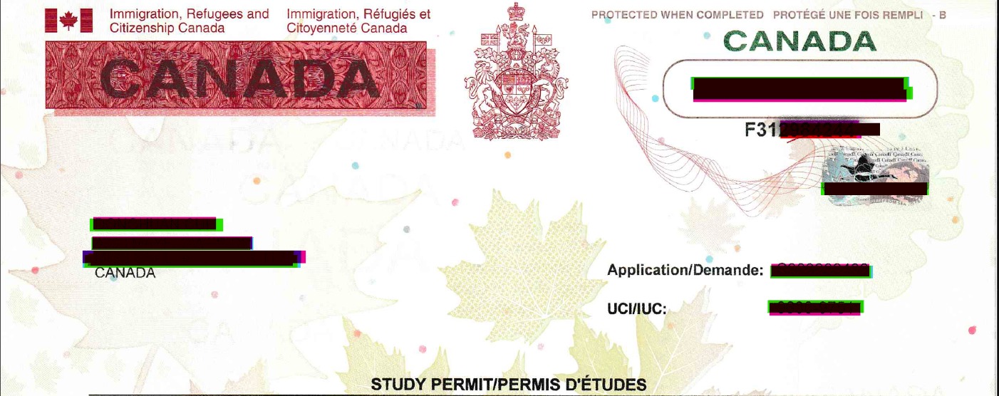 カナダ留学/IMM5709の記入方法(Study permit延長)｜HGブログ